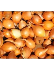 Primeur : Vente Fruits, Légumes & Condiments Origine France ...